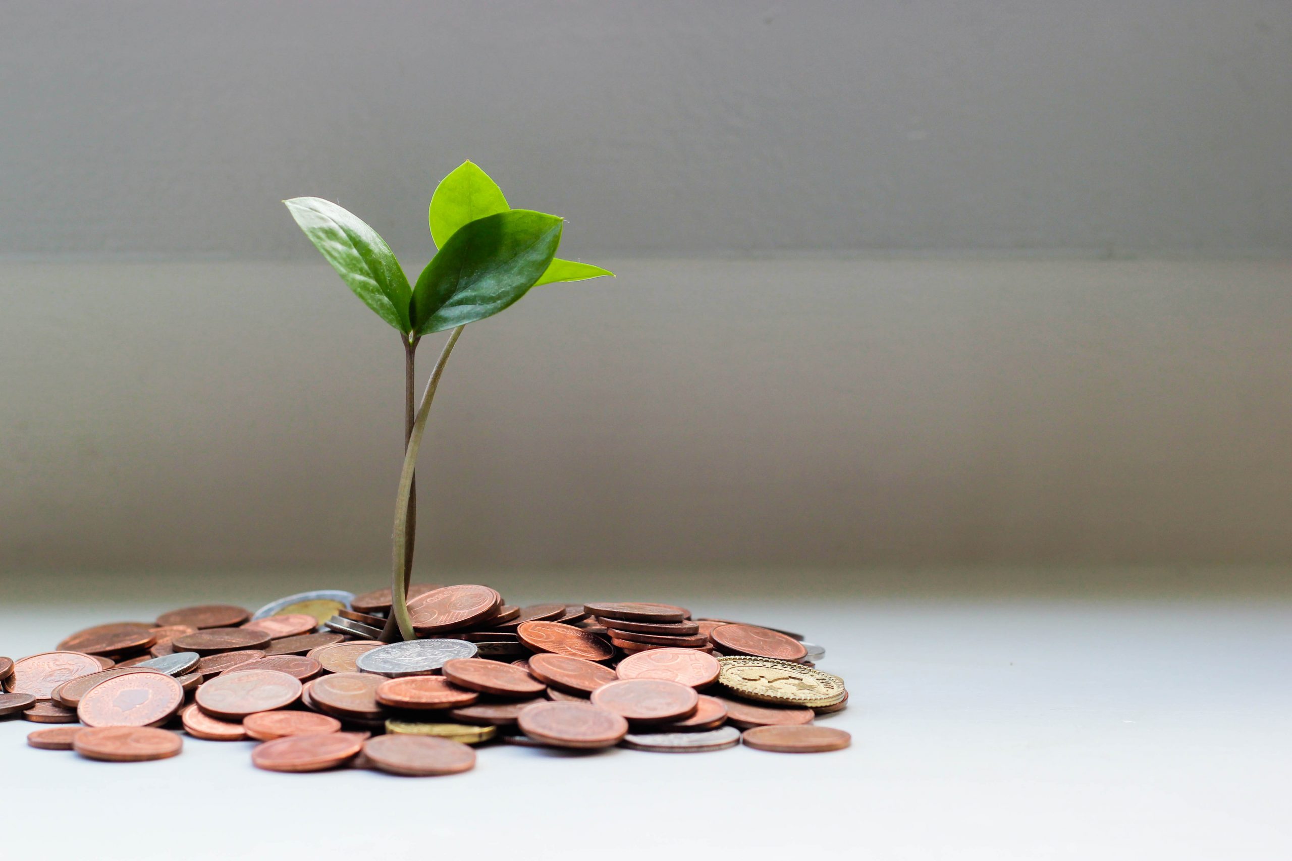 Geld Mindset: Reich denken lernen in 6 Schritten - HOLY AVE